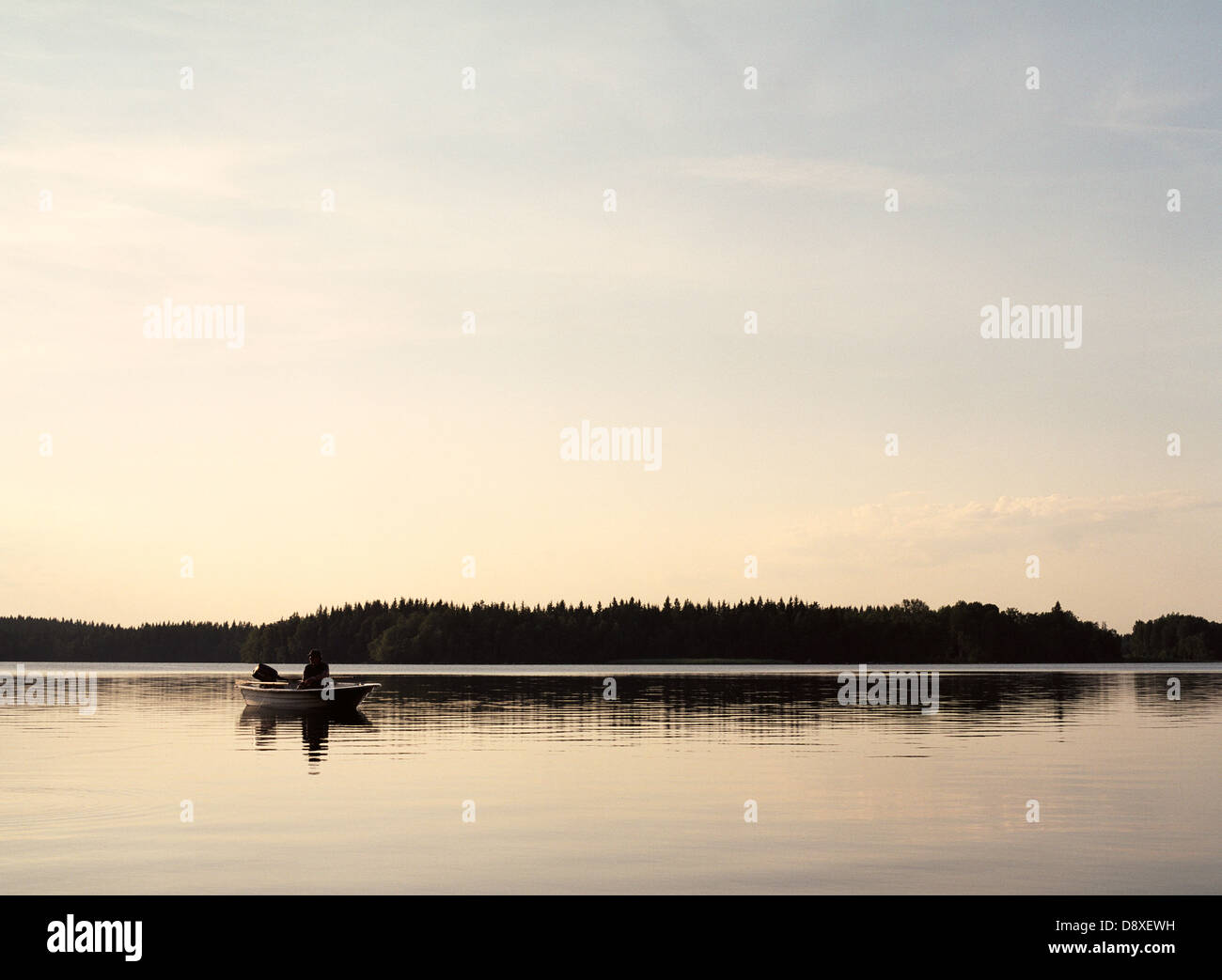 Crayfish silhouette hi-res stock photography and images - Alamy