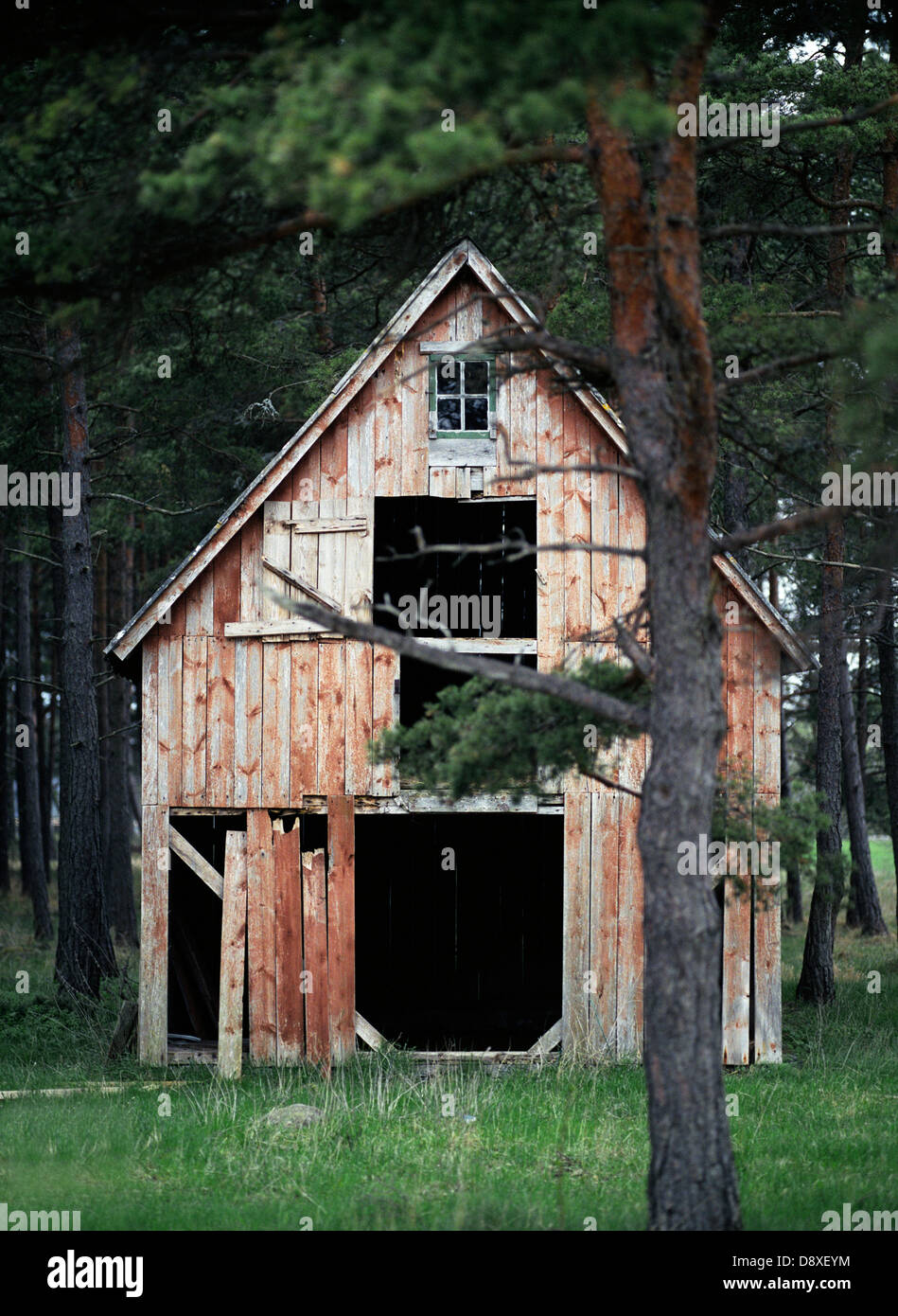 An abondened farm in the forest,Faro, Gotland, Sweden Stock Photo - Alamy