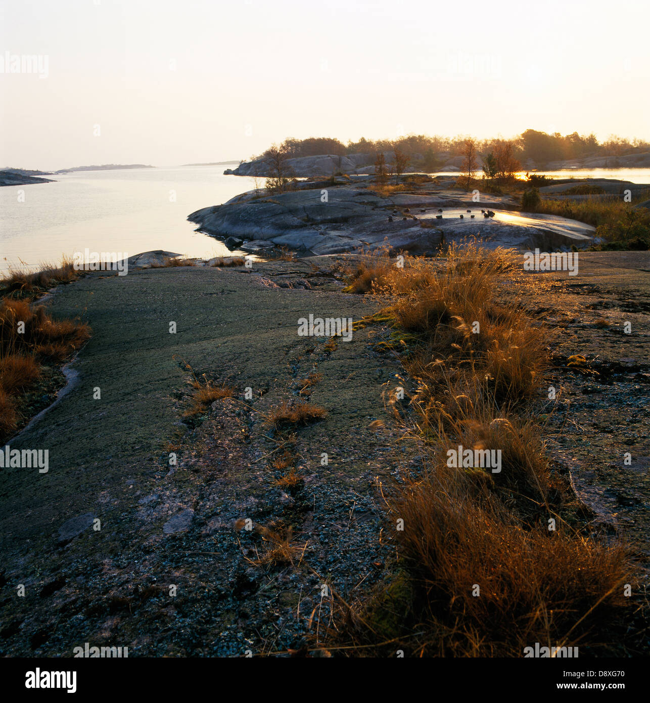 Rocks in the Swedish Archipelago Stock Photo - Alamy