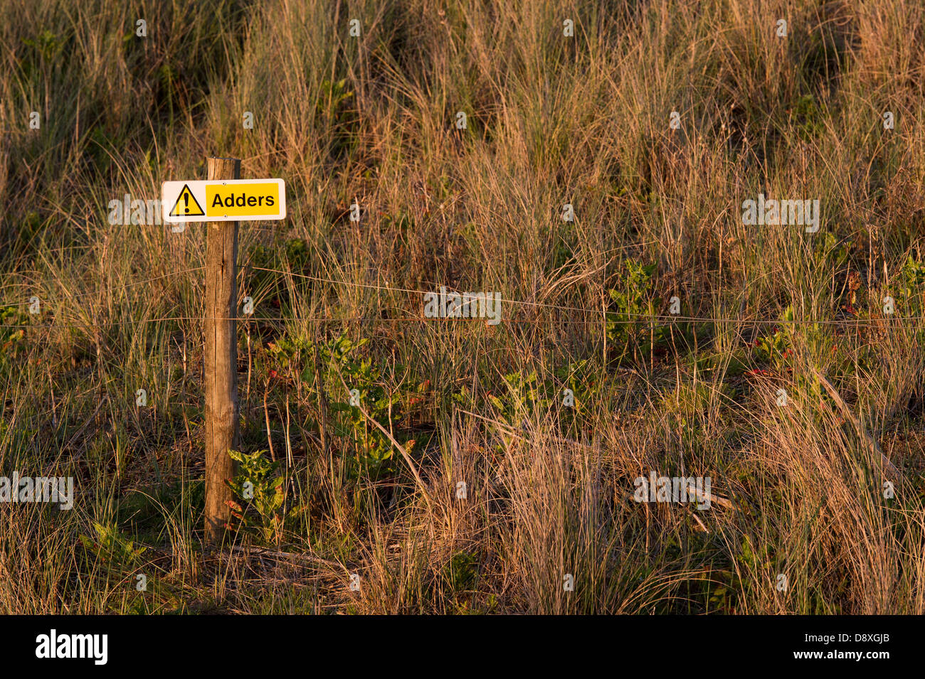 Adder conservation sign in the sand dunes at Bantham beach, Devon ...