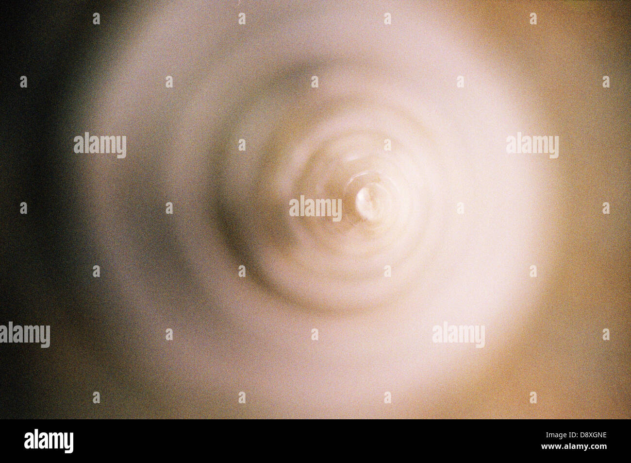 A shell seen from above Stock Photo - Alamy