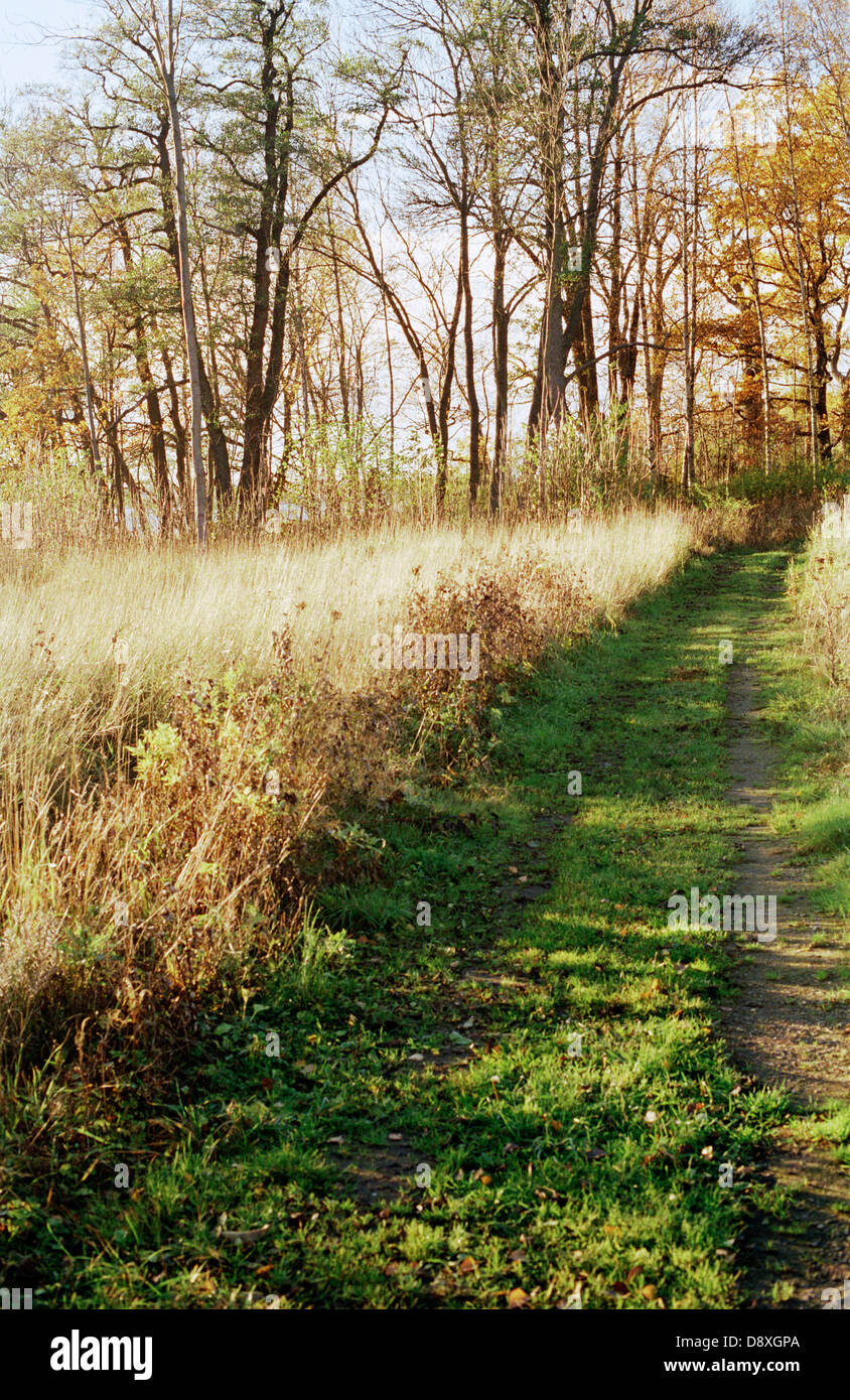 A country road Stock Photo - Alamy