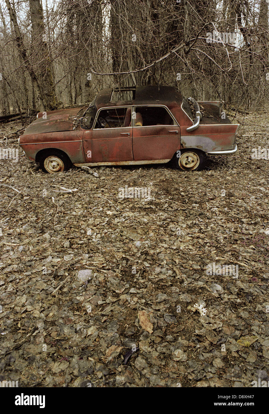 A dilapidated car Stock Photo - Alamy