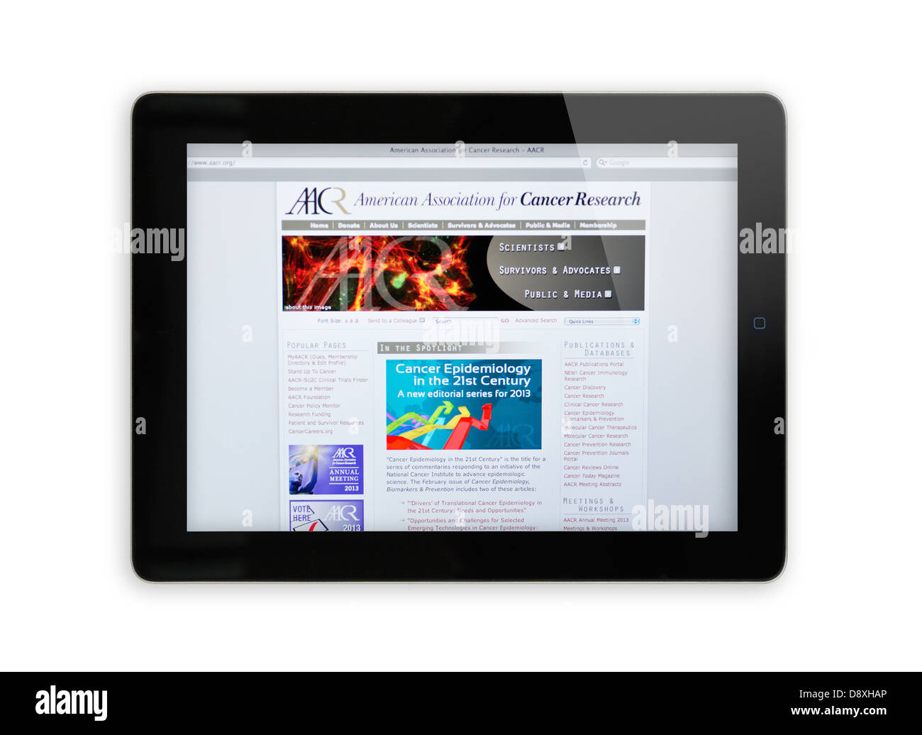 American medical association Cut Out Stock Images & Pictures - Alamy