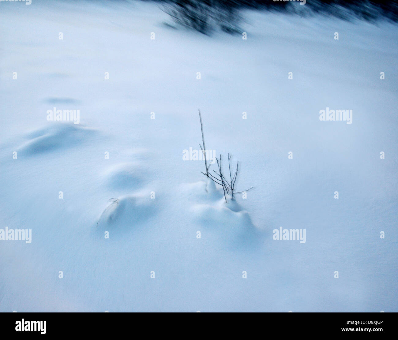 Snow on the ground Stock Photo - Alamy