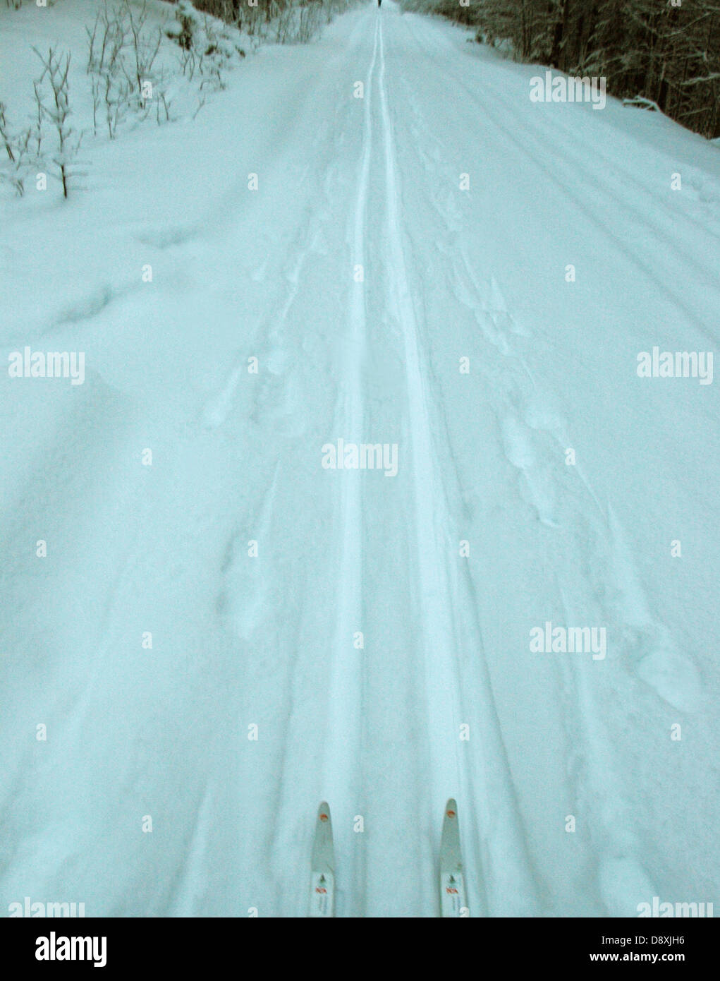 Move straight skiing hi-res stock photography and images - Alamy