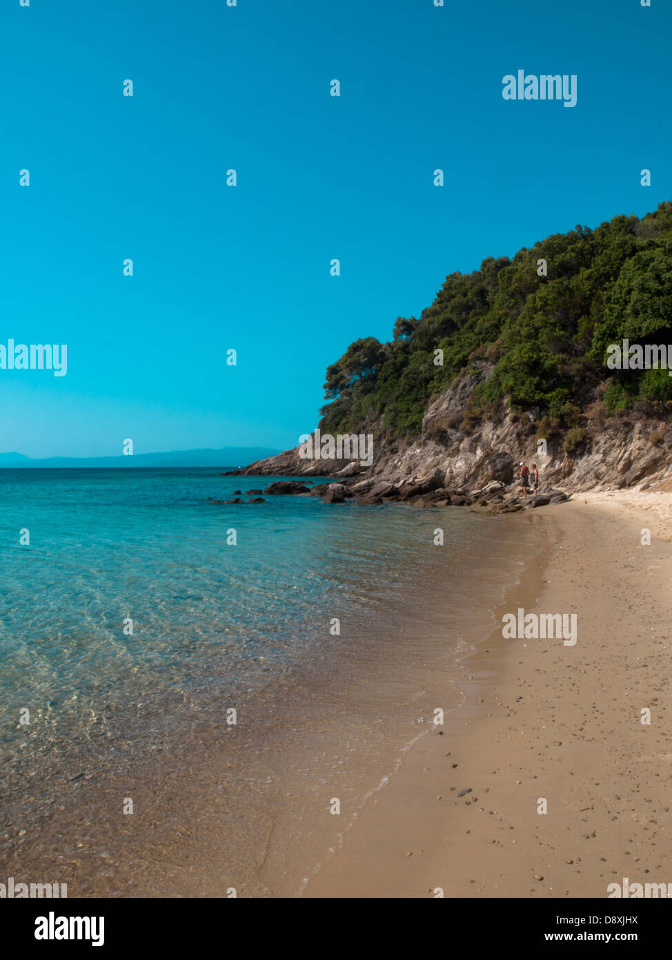 A scenic view of a beach and cliffside forest on the Greek island of ...