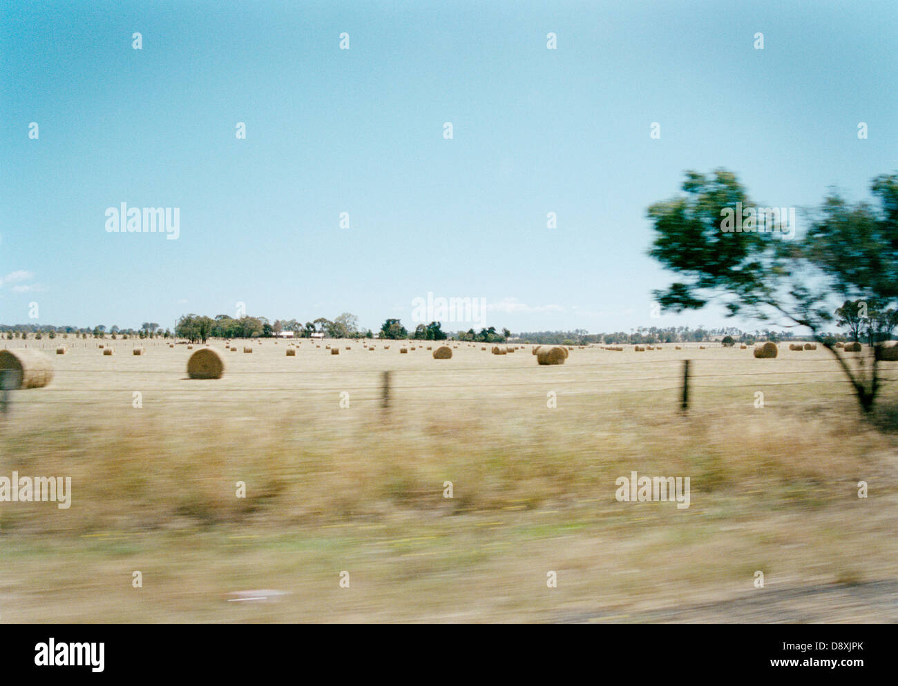 A Field in Australia Stock Photo - Alamy