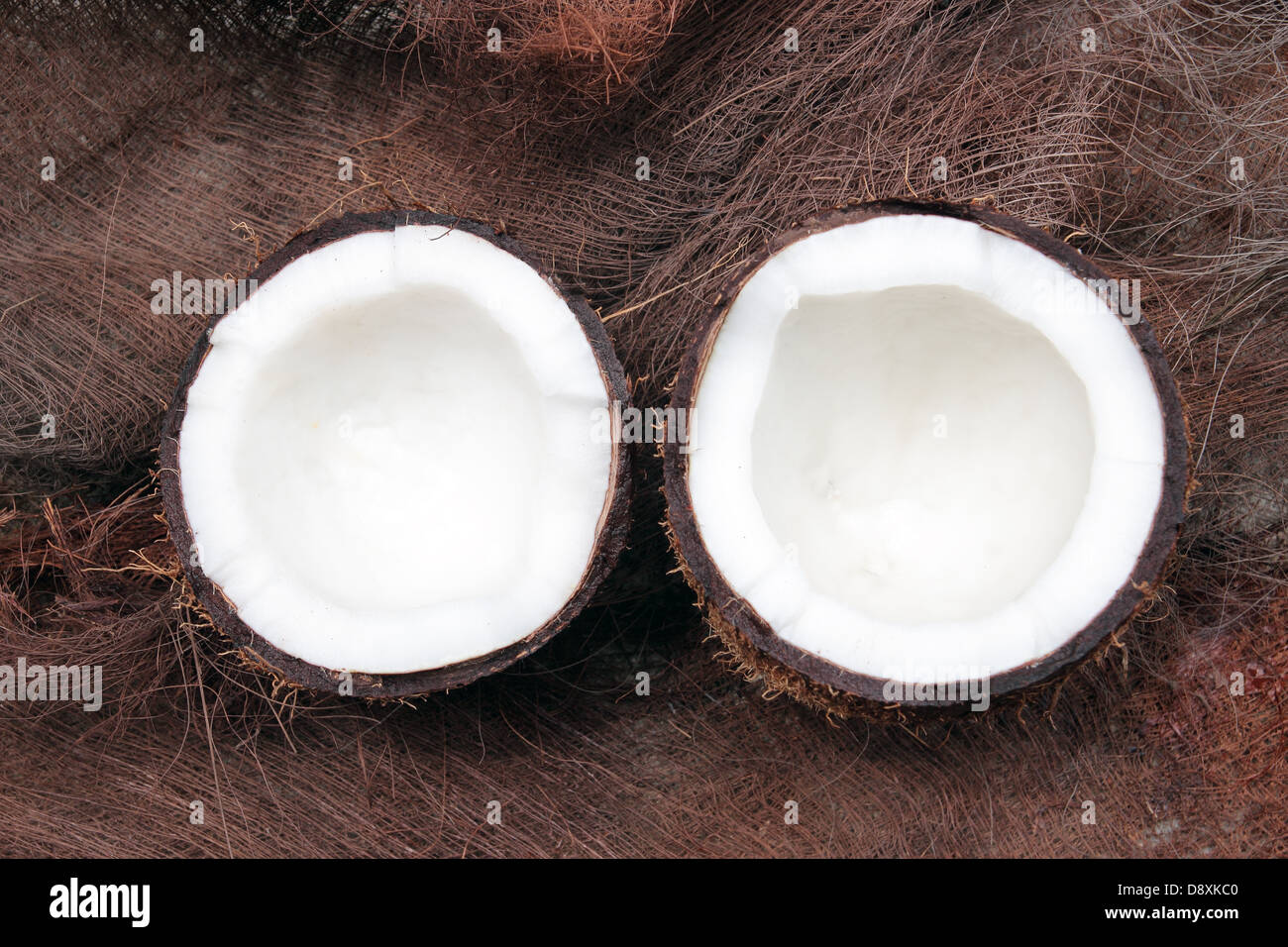 opened coconut fruit on natural brown palm fibers Stock Photo - Alamy