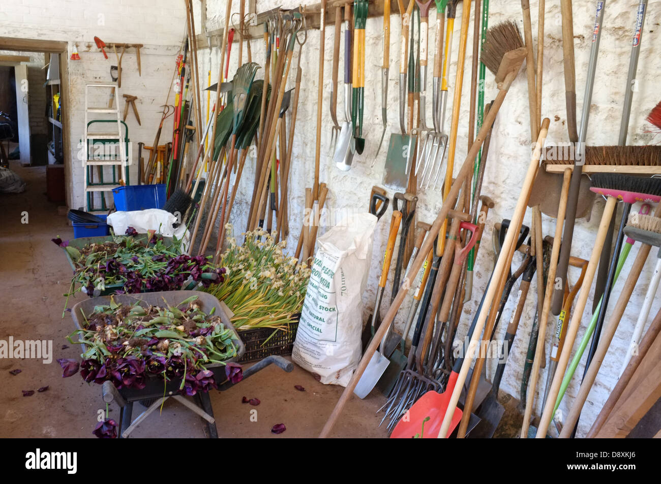 The kitchen garden shed at the Tyntesfield estate, Wraxall Stock Photo ...