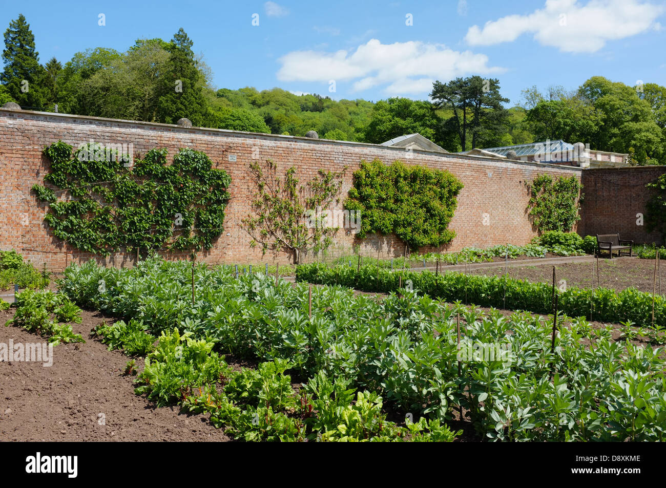 Gothic revival kitchen hi-res stock photography and images - Alamy