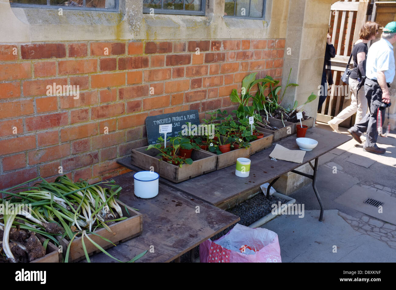 Tyntesfield kitchen gardens, Wraxall, North Somerset, England Stock ...
