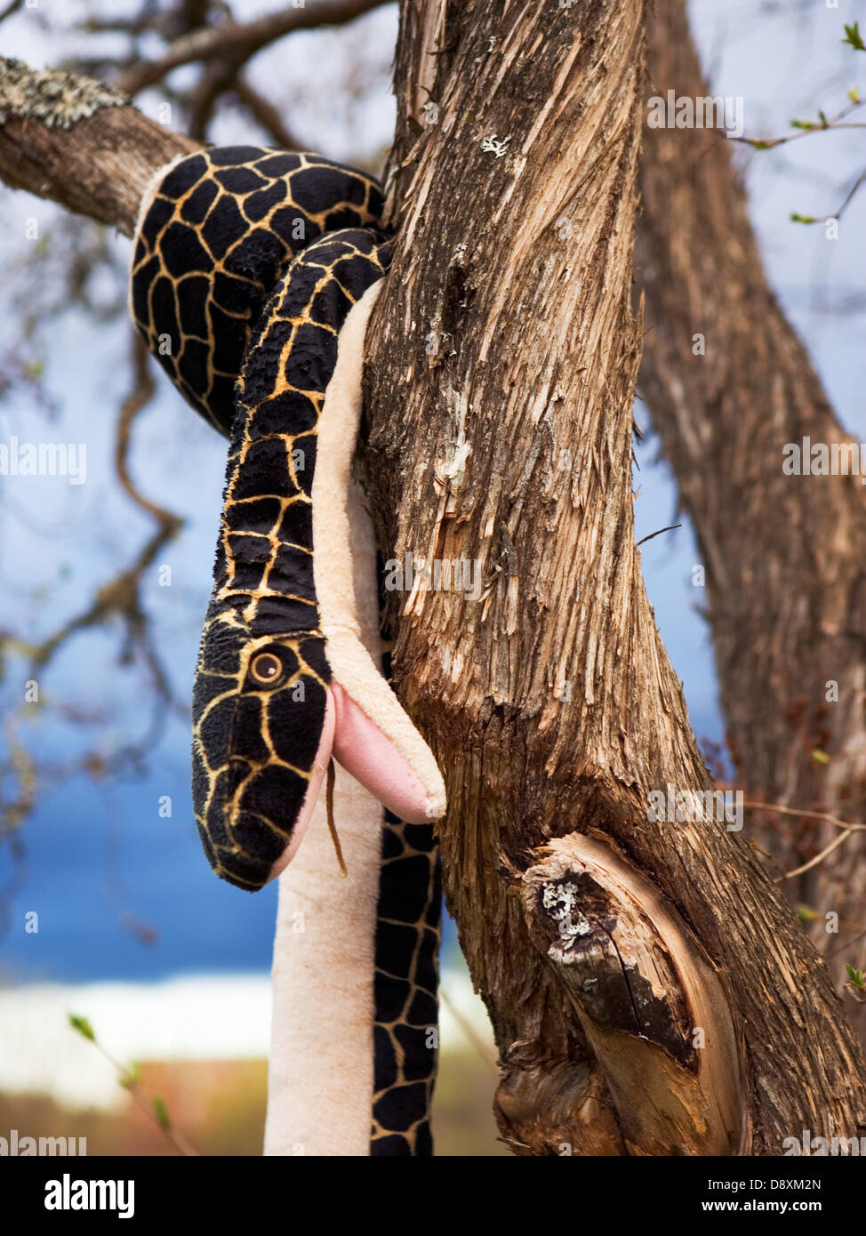 Toy snake in a tree hi-res stock photography and images - Alamy
