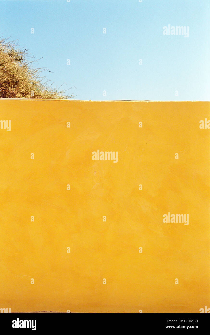 A yellow wall Stock Photo - Alamy