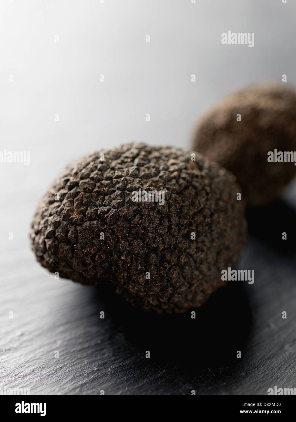 Black truffles hi-res stock photography and images - Alamy