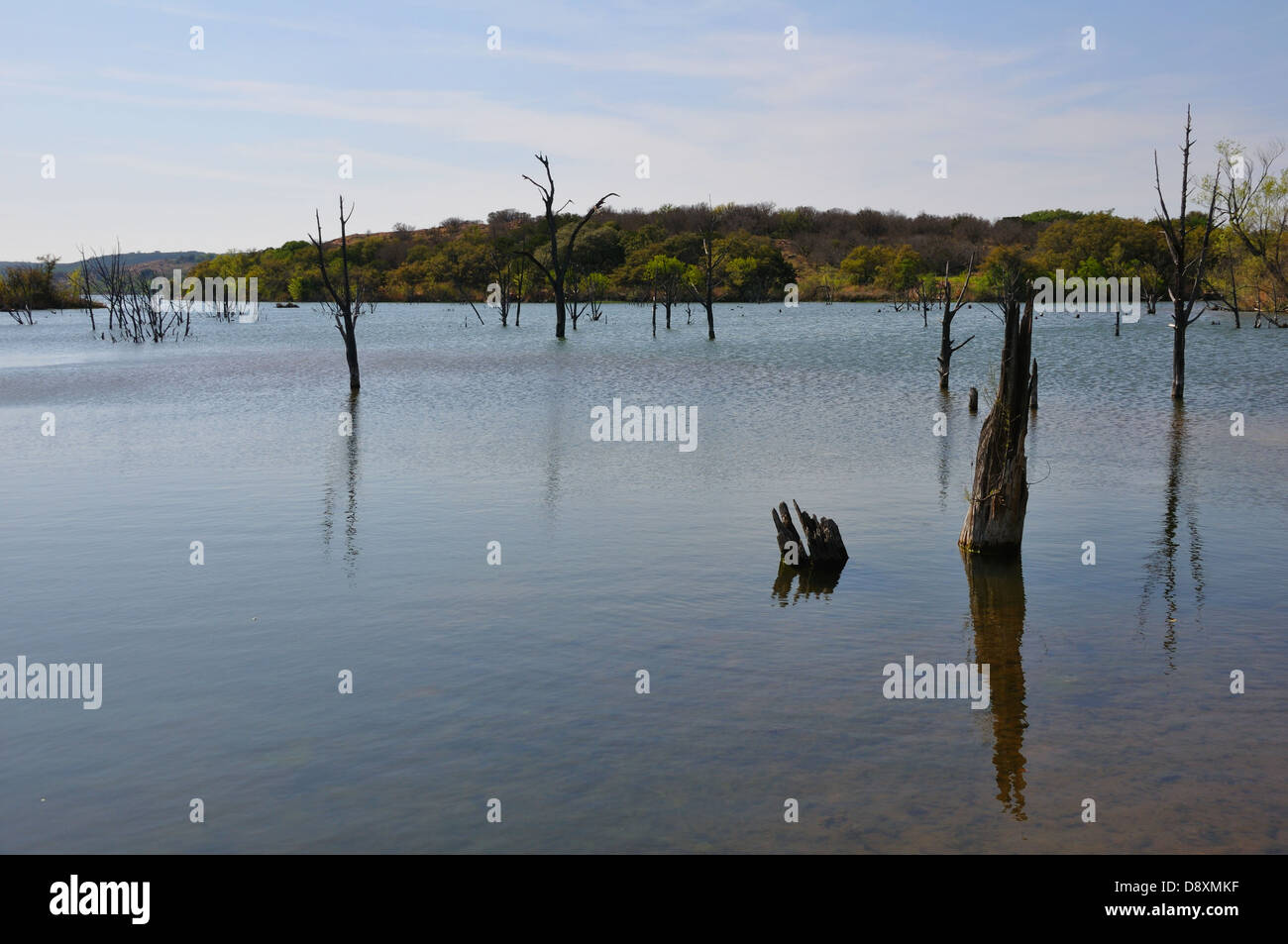 Lake Buchanan, Texas, USA Stock Photo - Alamy