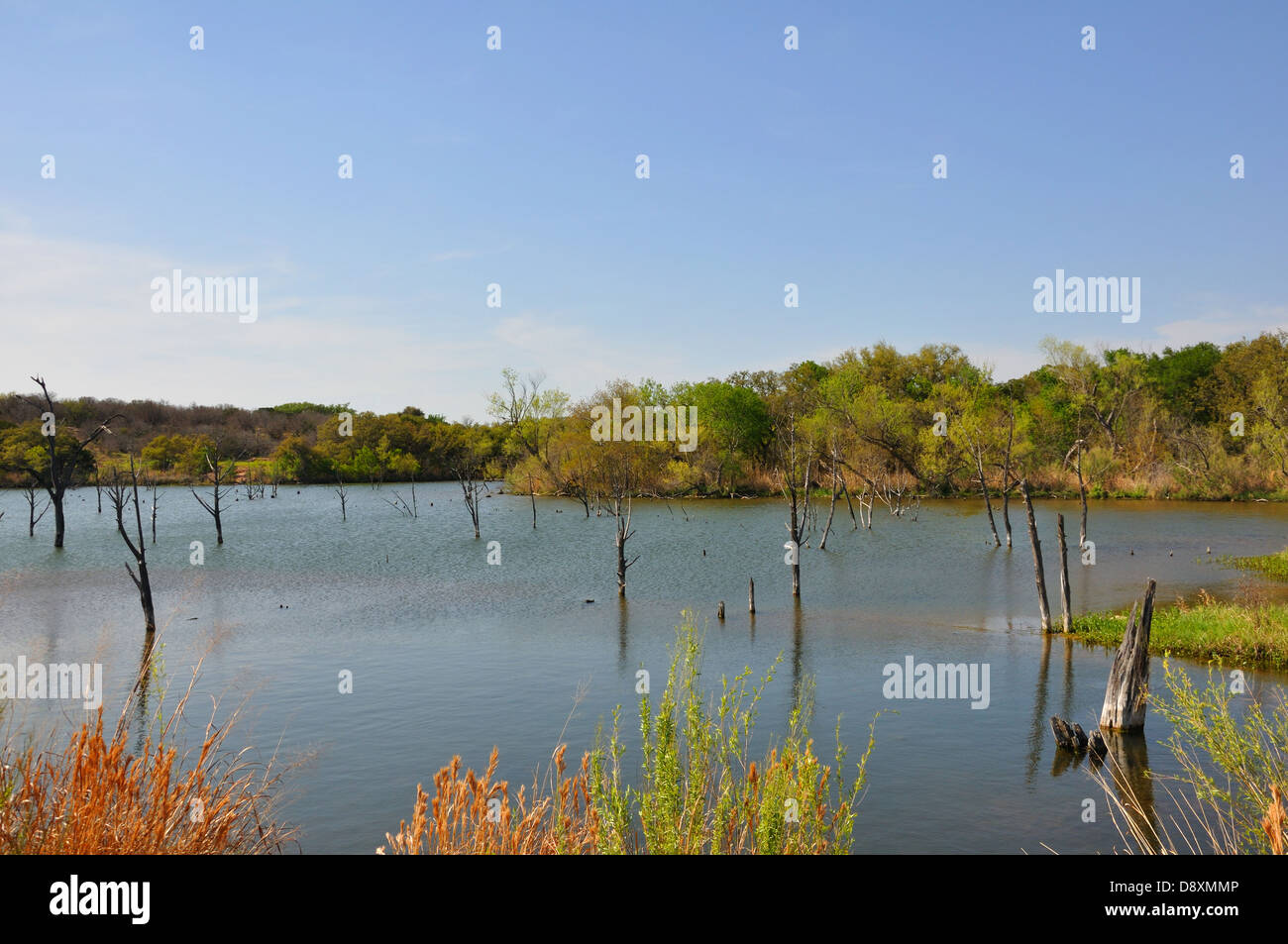 Lake Buchanan, Texas, USA Stock Photo - Alamy