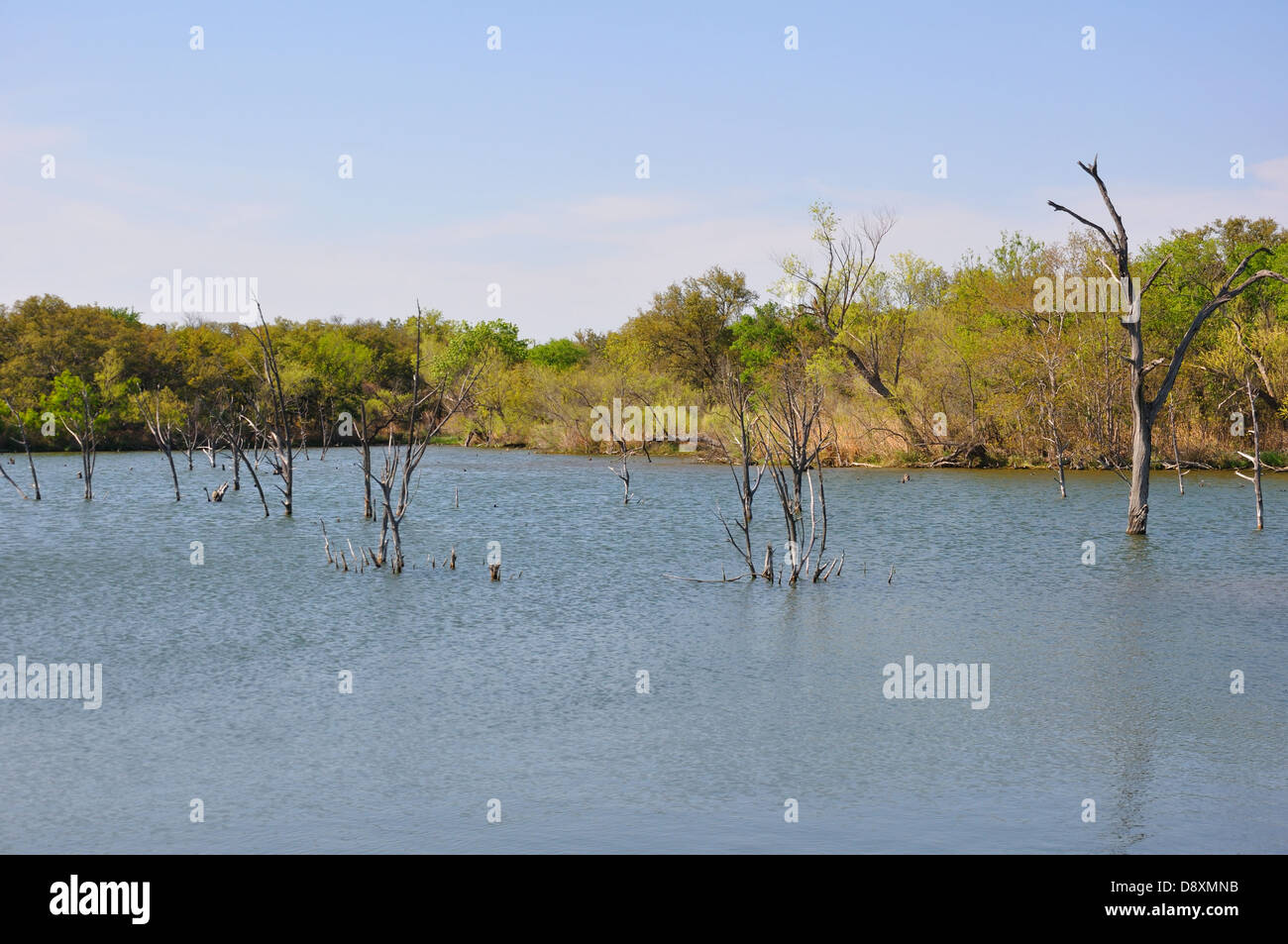 Lake Buchanan, Texas, USA Stock Photo - Alamy
