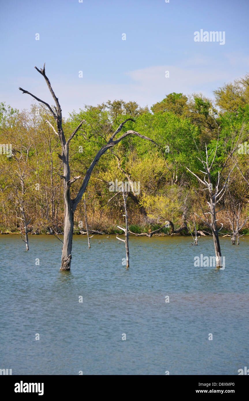 Lake Buchanan, Texas, USA Stock Photo - Alamy