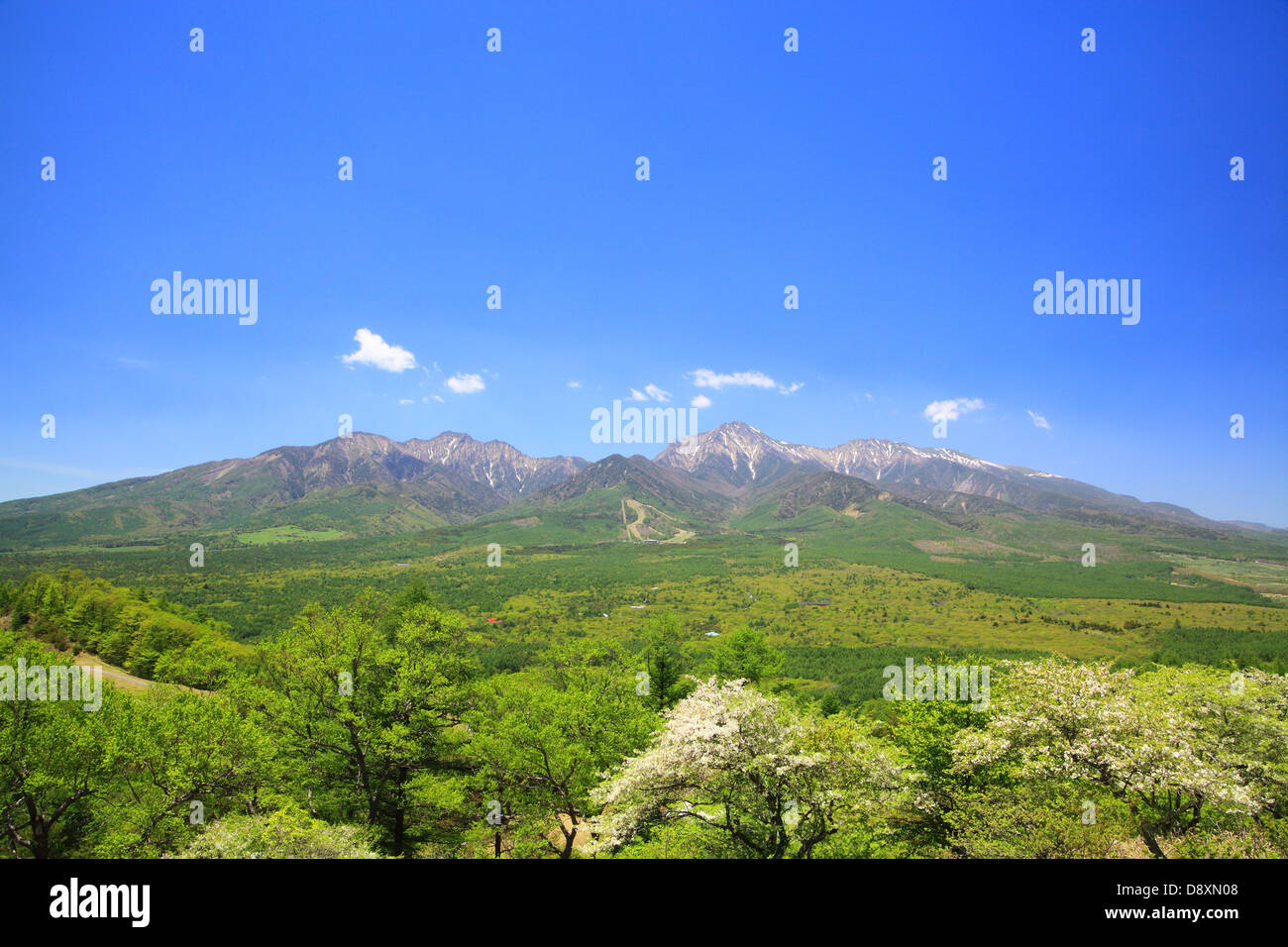 Mt. Yatsugatake of fresh green, Nagano, Japan Stock Photo - Alamy