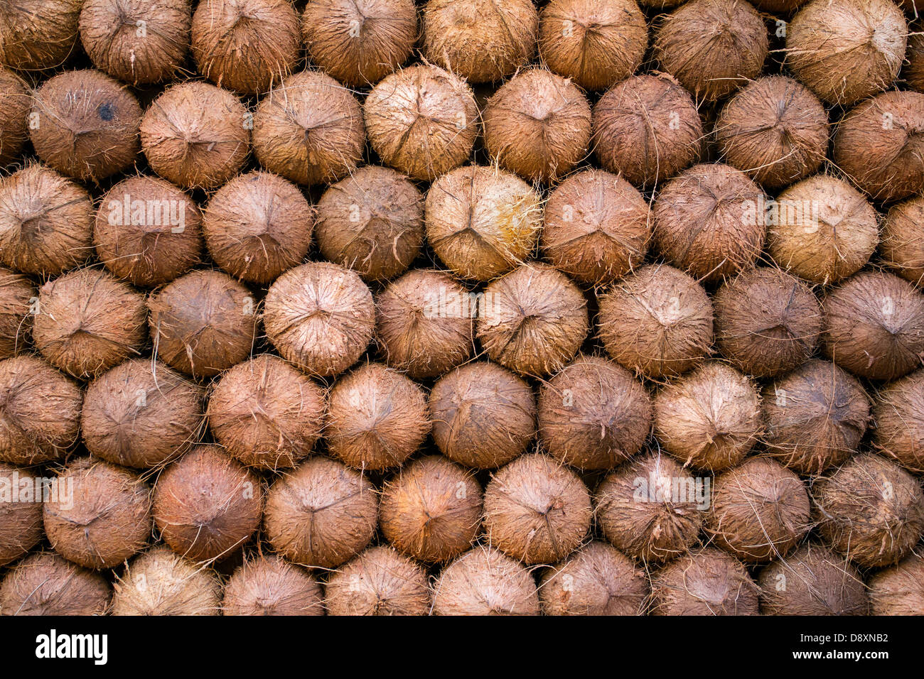 Pile of coconuts background. Food market in India Stock Photo - Alamy