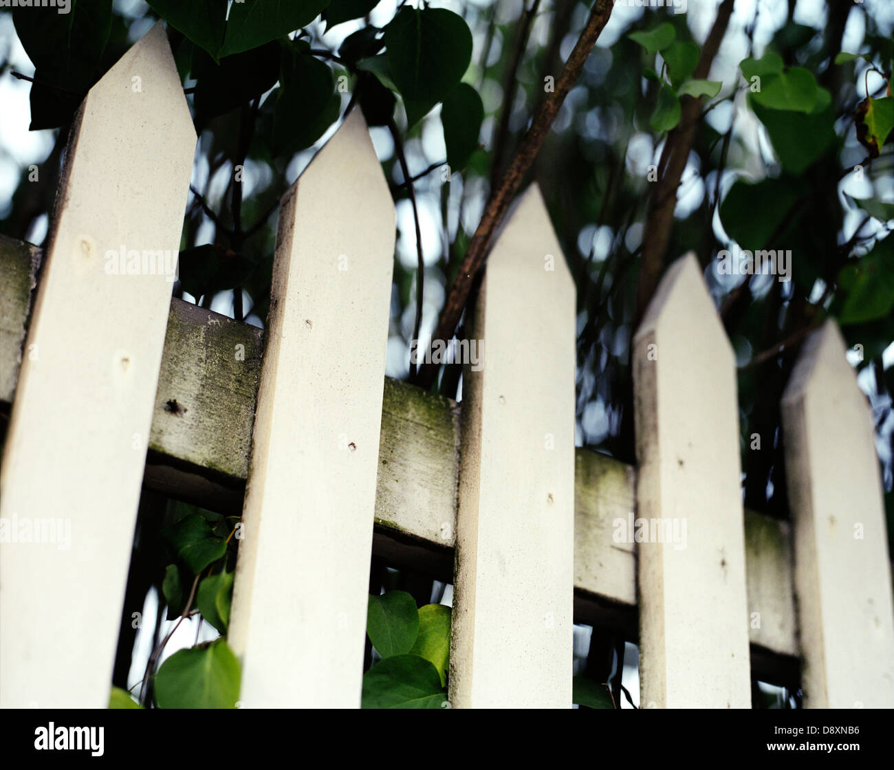 White picket fence Stock Photo - Alamy