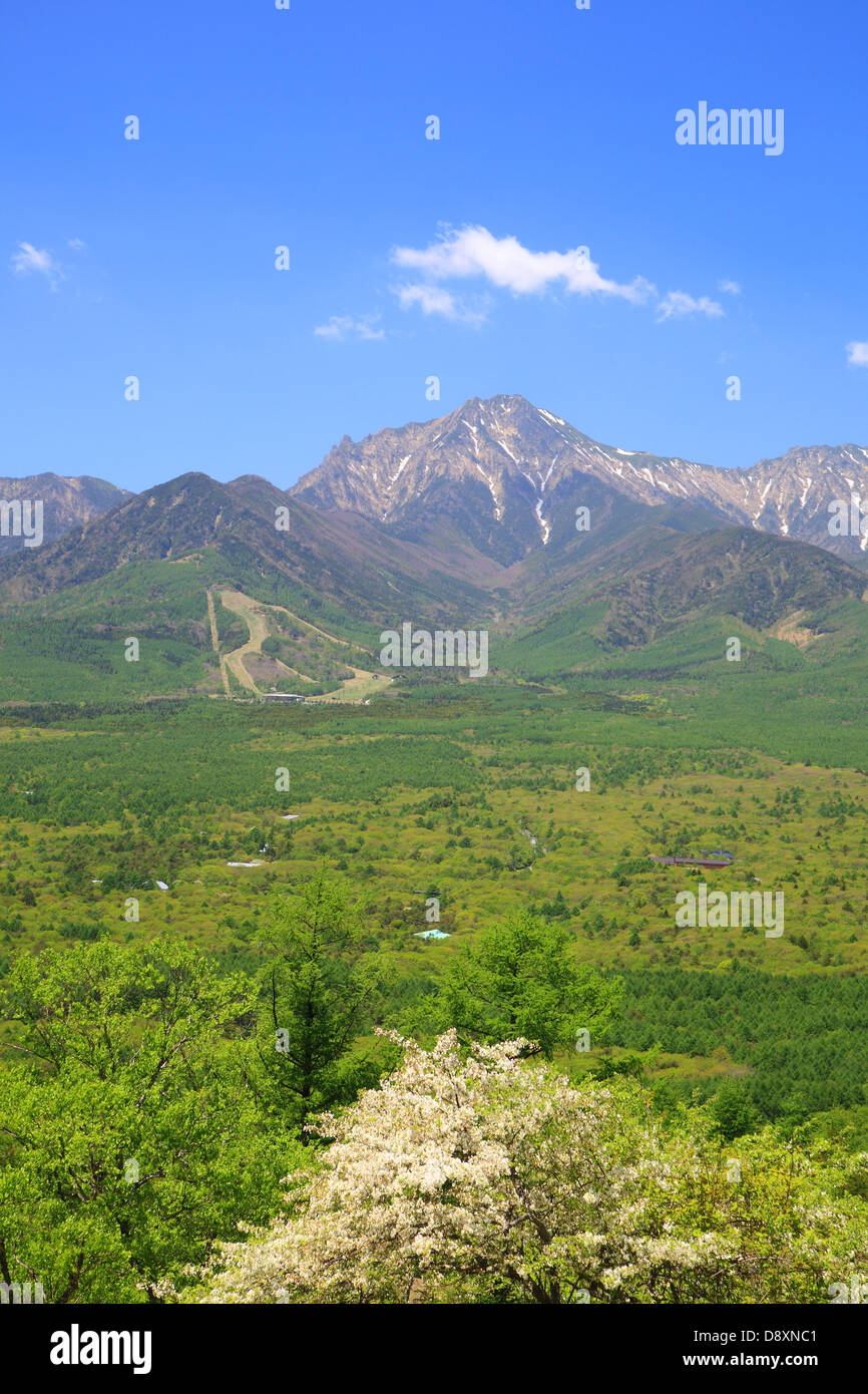 Mt. Yatsugatake of fresh green, Nagano, Japan Stock Photo - Alamy