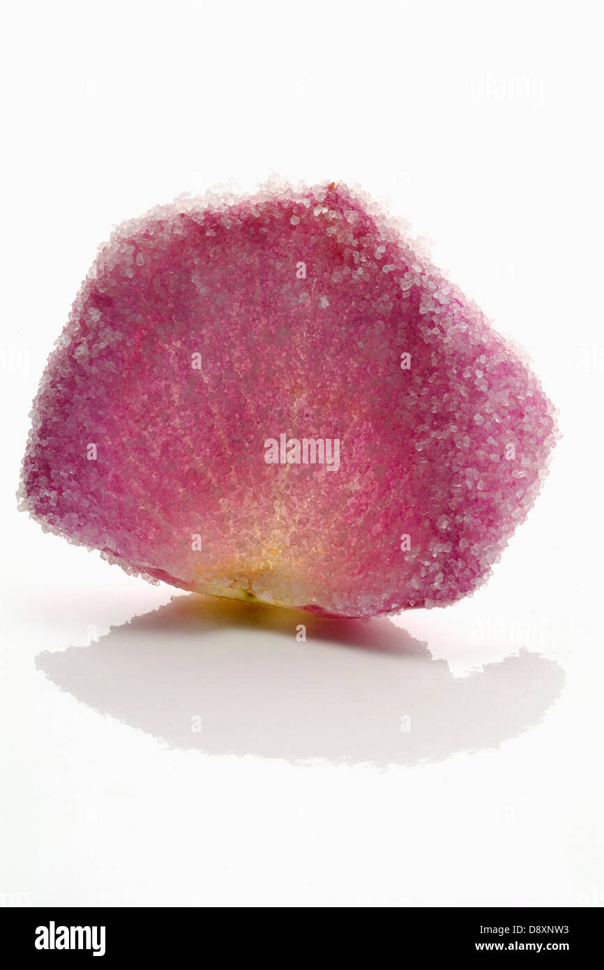 Crystallized rose petal Stock Photo - Alamy