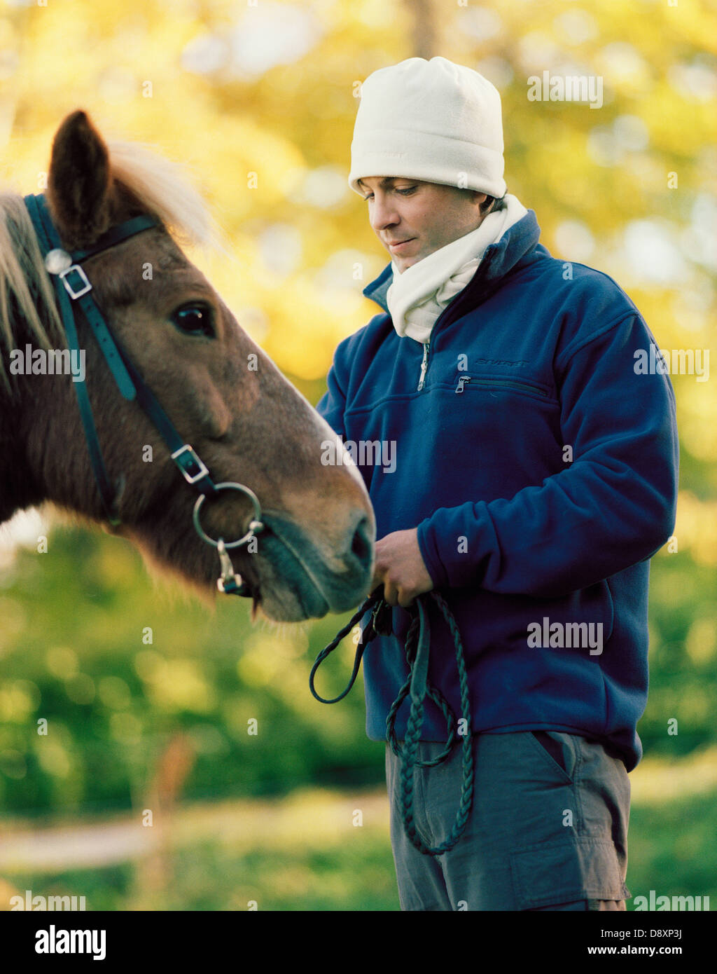 Man with horse Stock Photo - Alamy