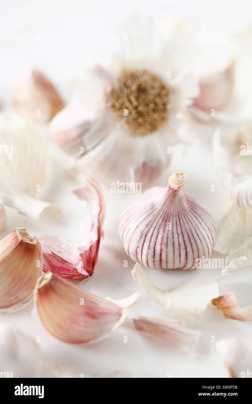 Head and garlic cloves Stock Photo - Alamy