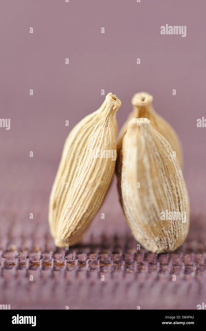 White cardamom grains Stock Photo - Alamy