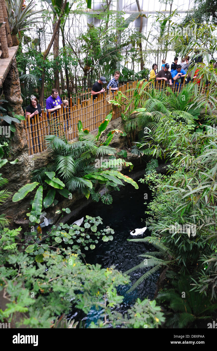 Dallas Aquarium, Texas, USA Stock Photo - Alamy