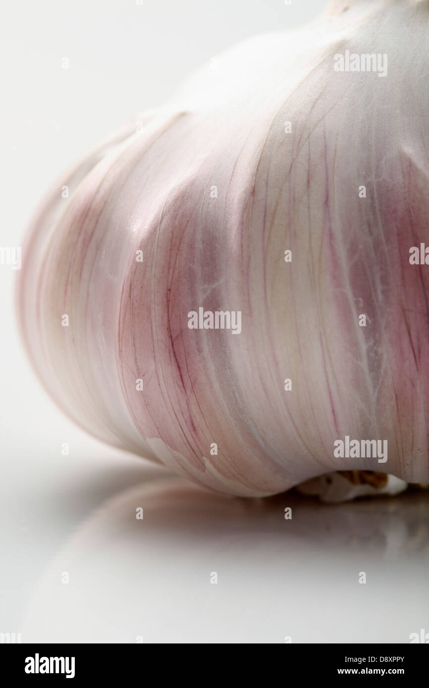 Pink garlic head Stock Photo - Alamy