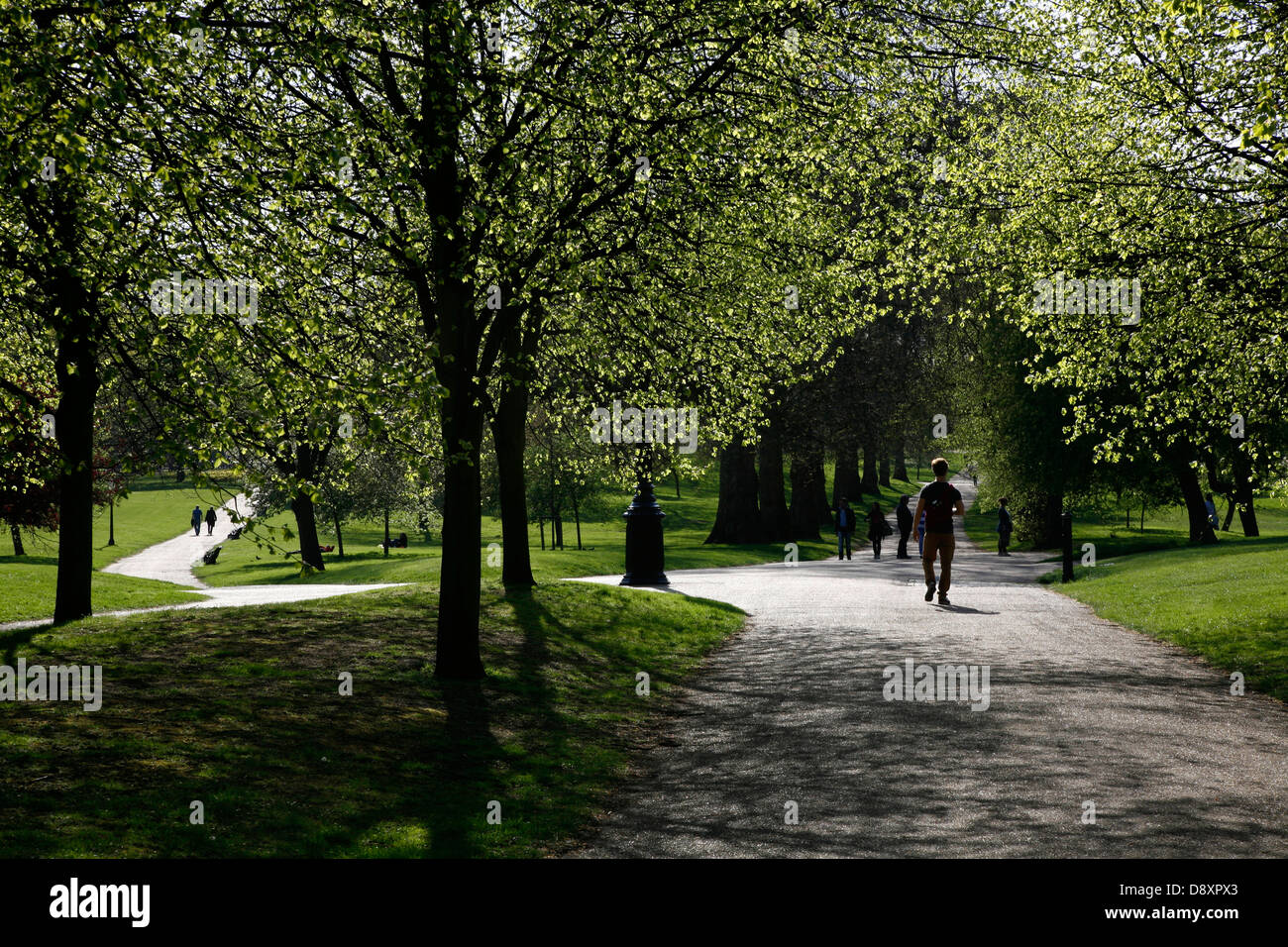 Pedestrian path through park hi-res stock photography and images - Alamy
