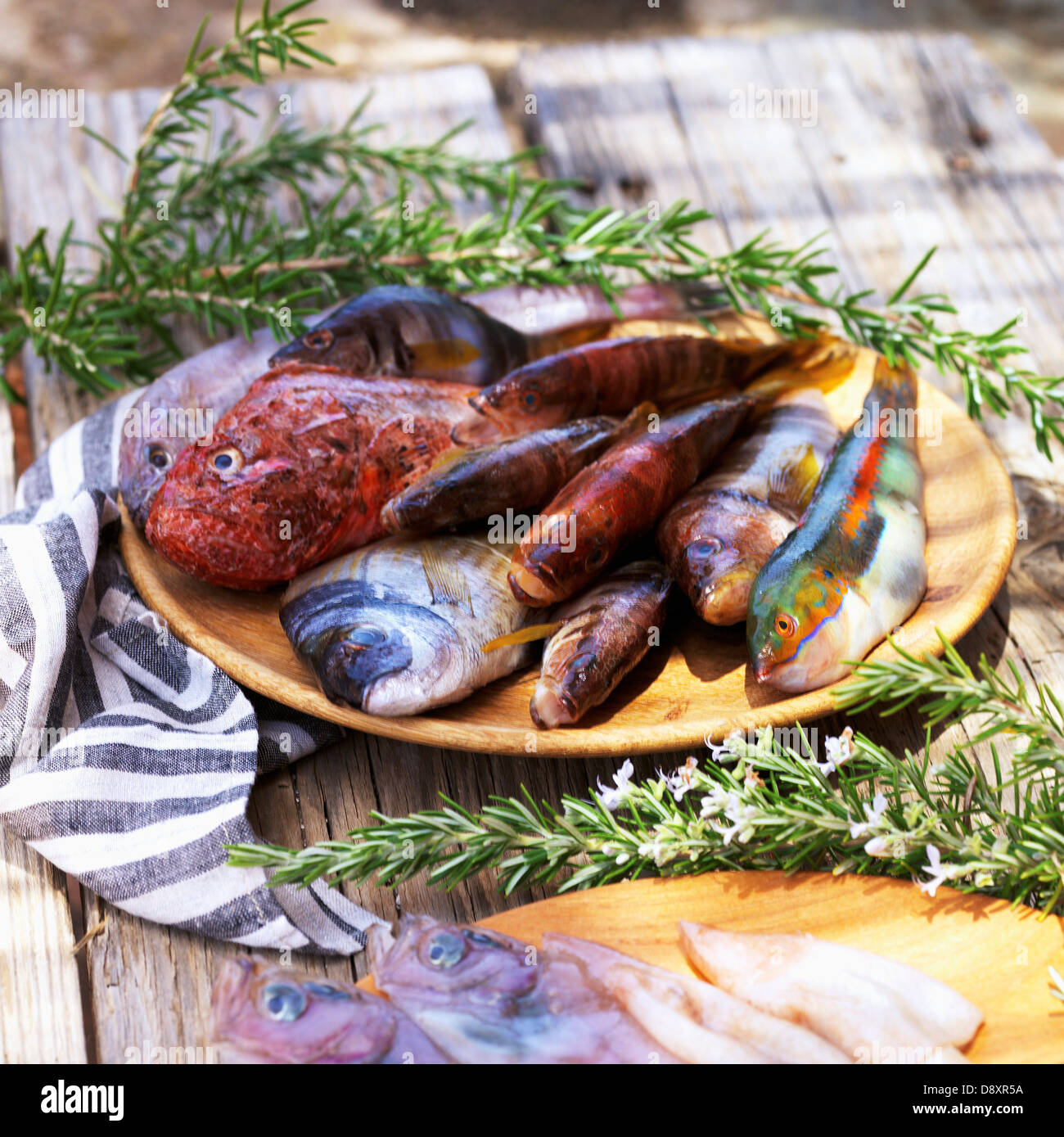 Selection of fish to be grilled Stock Photo - Alamy