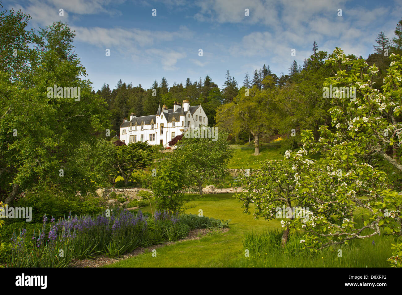 Forres Stock Photos & Forres Stock Images - Alamy