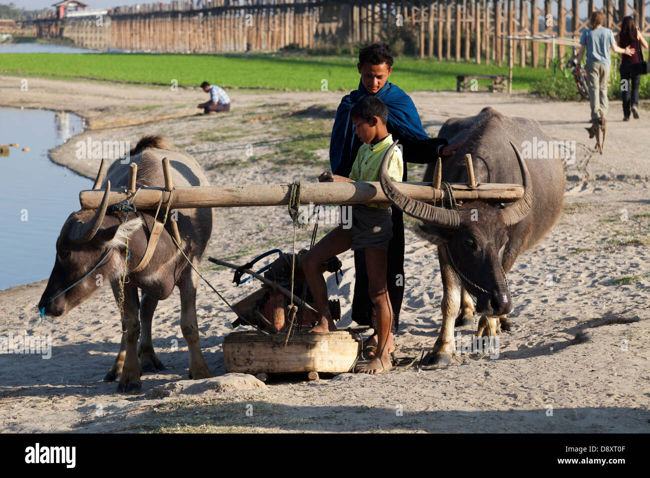 Man pulling cart hi-res stock photography and images - Alamy