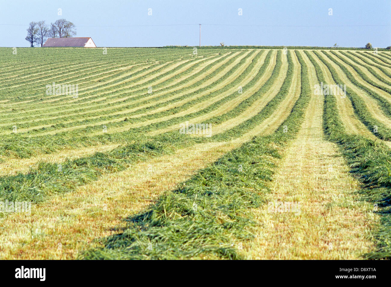 A Field in Skane, Sweden Stock Photo - Alamy