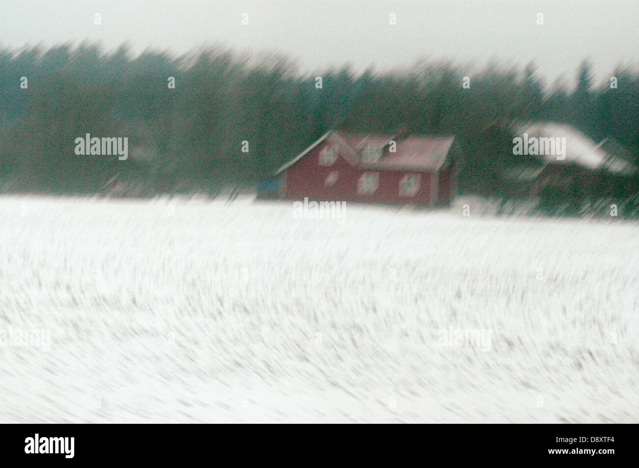 Red house in winter landscape Stock Photo - Alamy