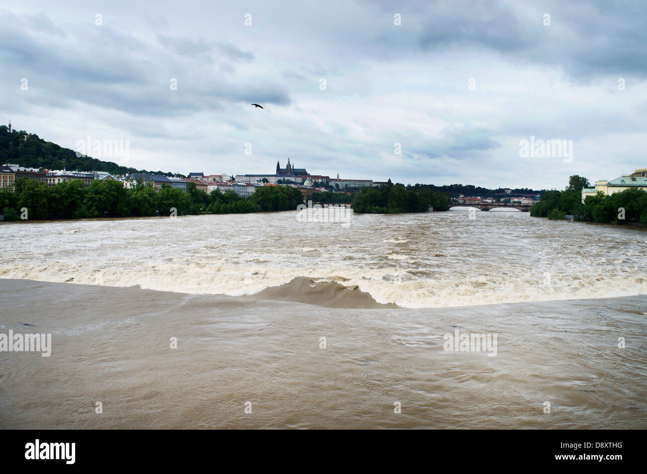 Swollen Vltava river in center Prague Czech Republic culminates with ...