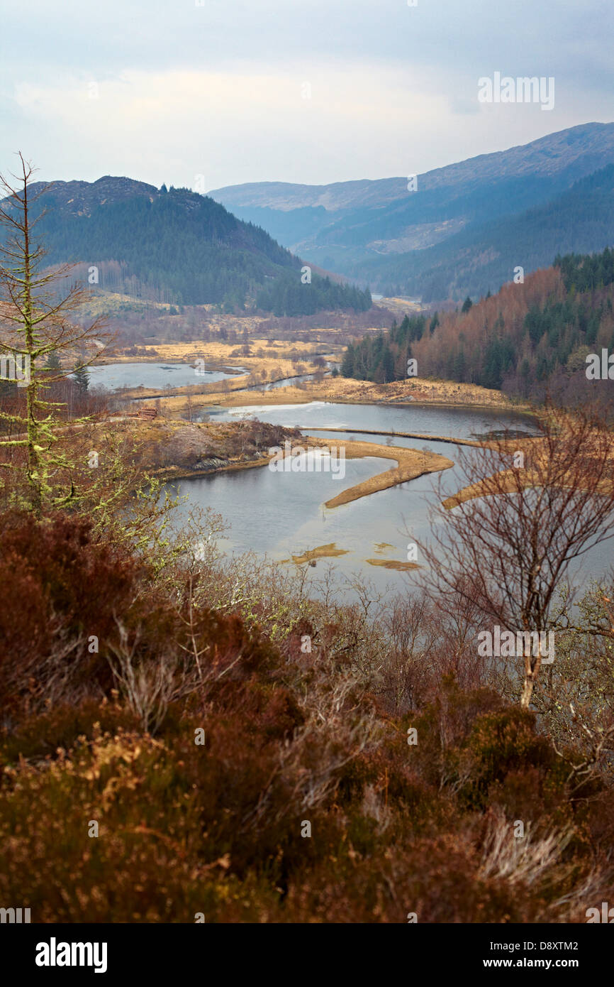Forestry at Polloch and Loch Shiel Stock Photo - Alamy