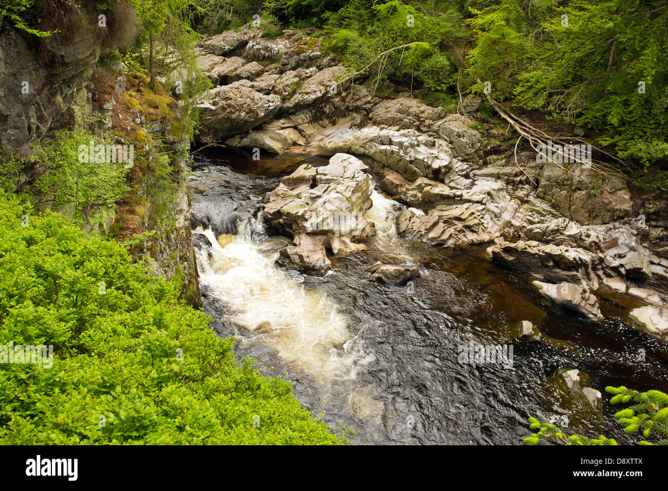 RIVER FINDHORN GORGE AT LOGIE NEAR FORRES MORAY SCOTLAND Stock Photo ...