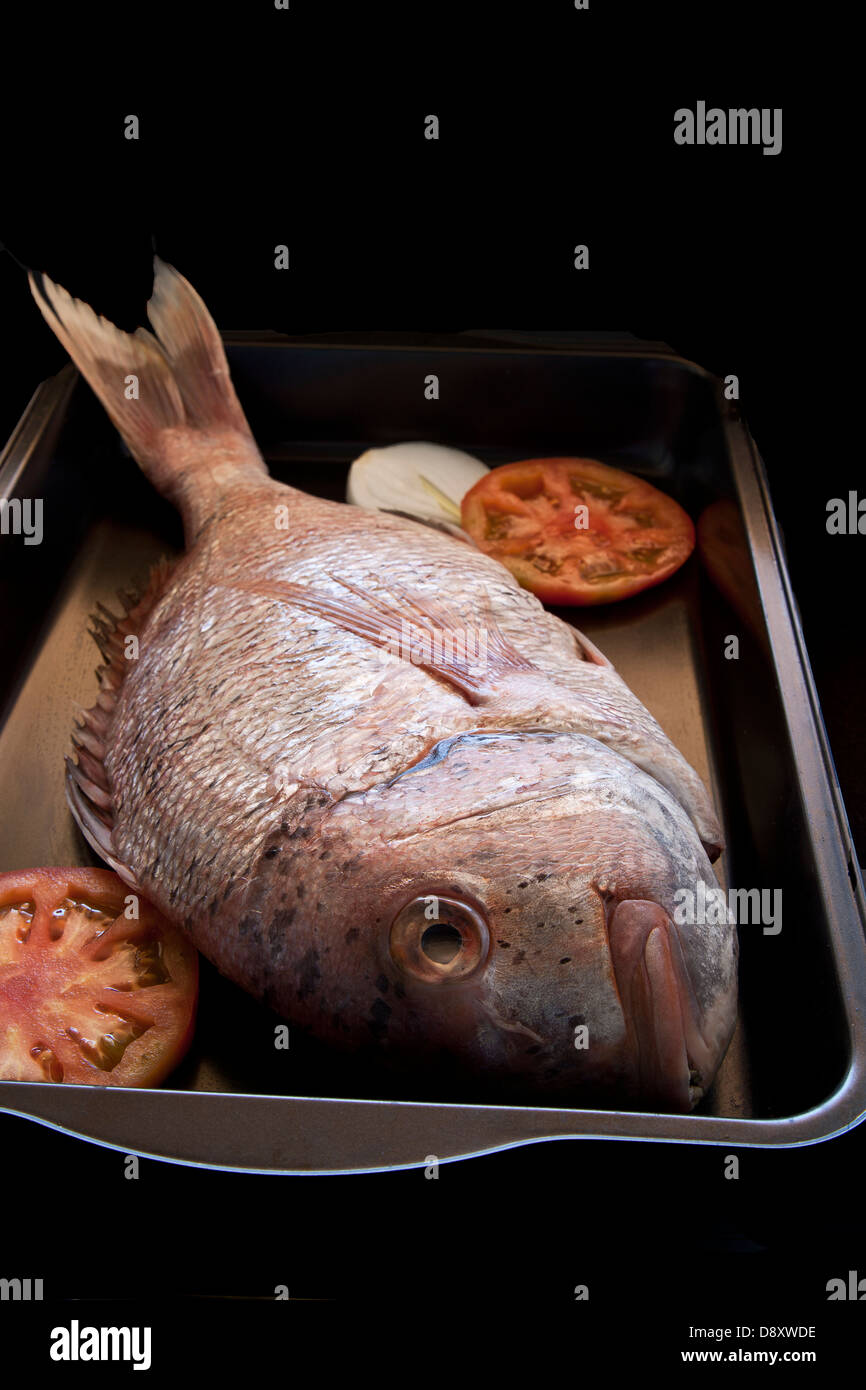 Red band fish hi-res stock photography and images - Alamy