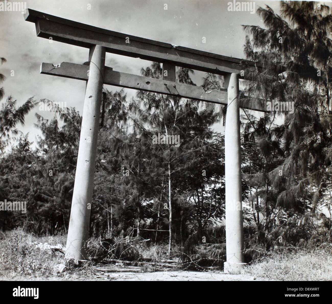 This image from the VP102 Second Tour Collection showcases a ...