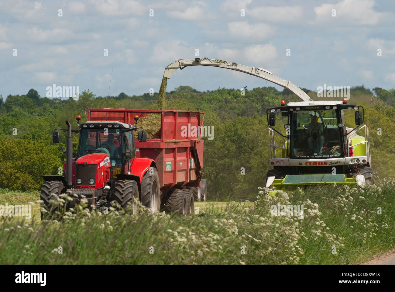 Harvesting grass for silage making for cattle feed Stock Photo - Alamy