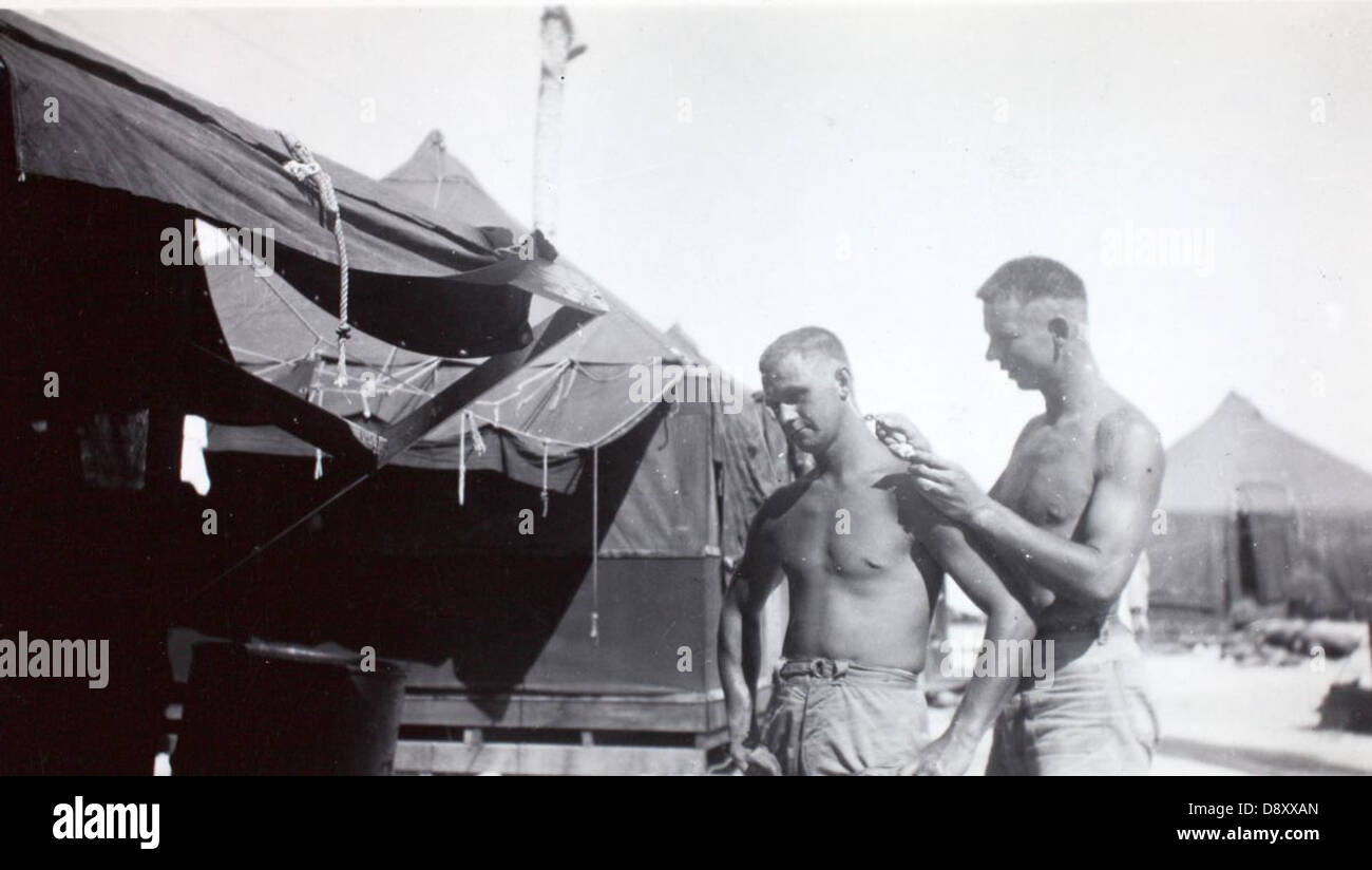 This photograph from the VP102 Second Tour Collection features a ...