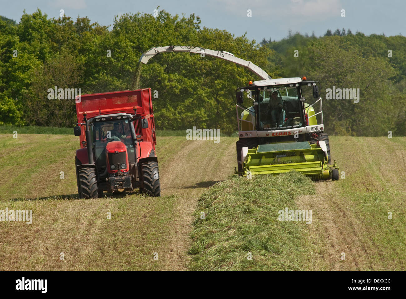 Harvesting grass for silage making for cattle feed Stock Photo - Alamy