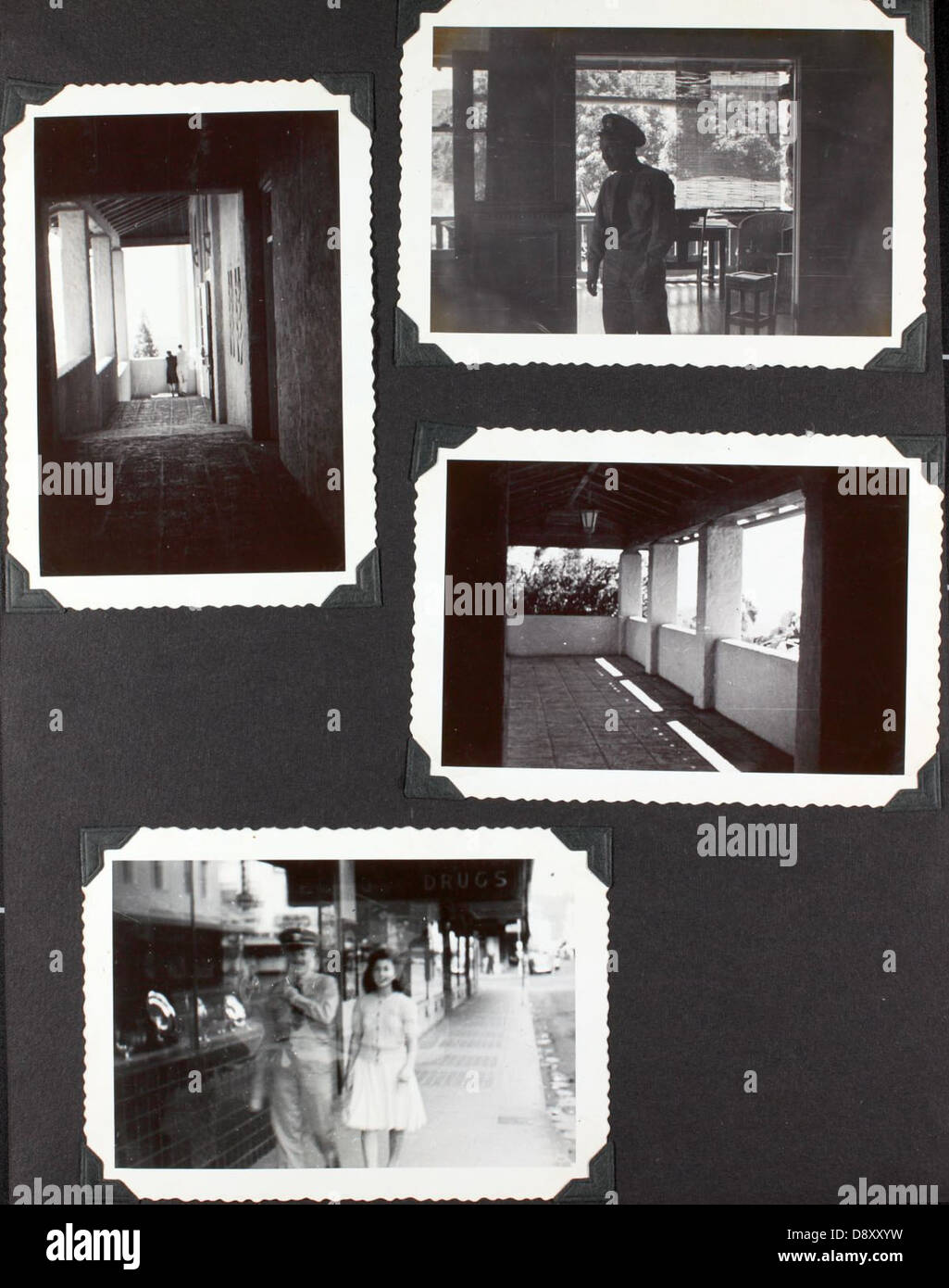 The VP102 Collection (1942-44) features the PB4Y Privateer, a WWII ...