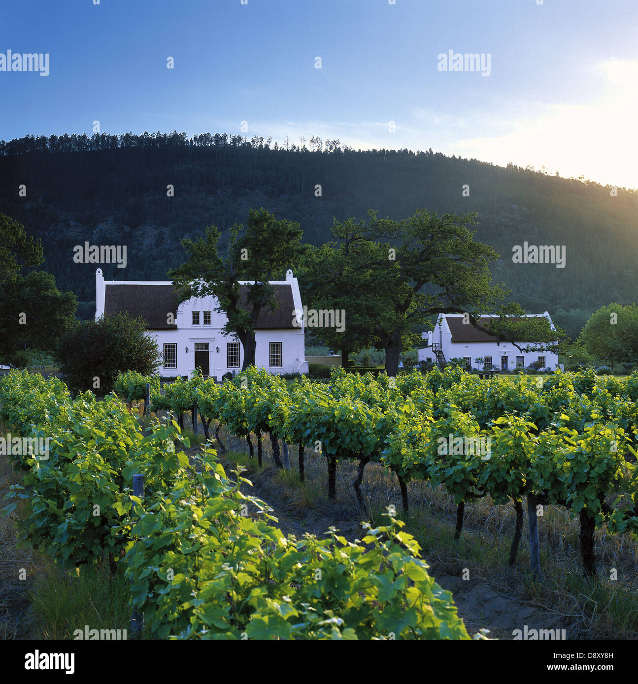 South africa boland hi-res stock photography and images - Alamy