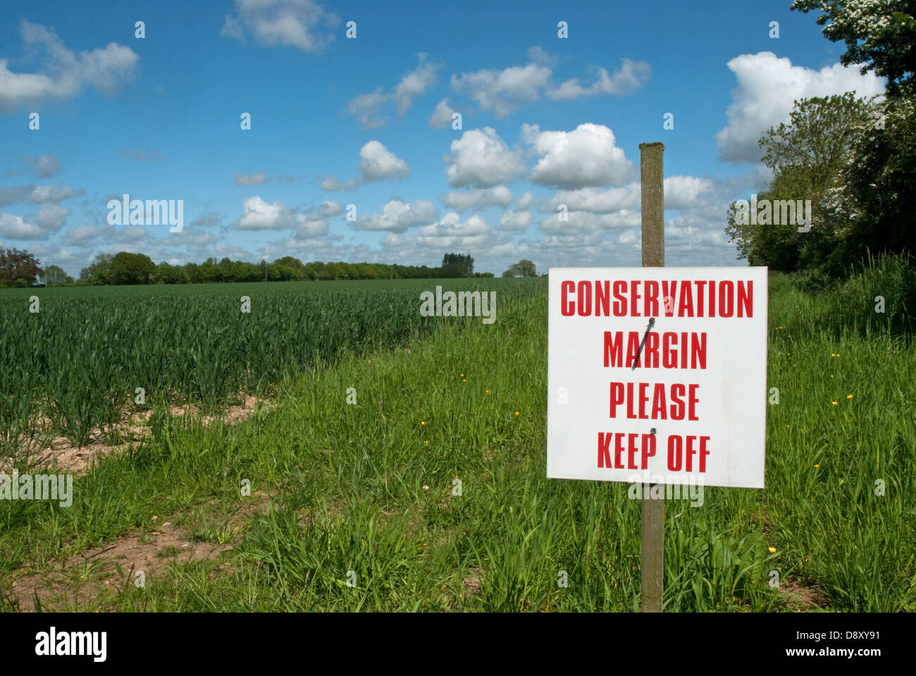 Sign denoting Conservation area surrounding growing wheat field Stock ...